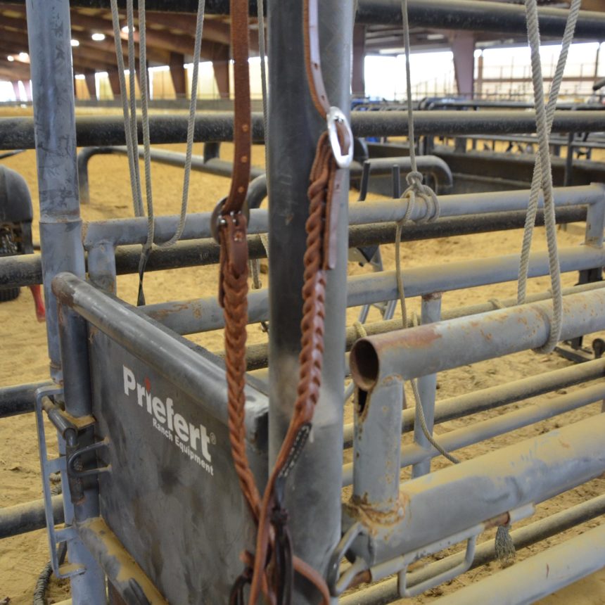 #1 Perfect Bit - The Perfect Bit