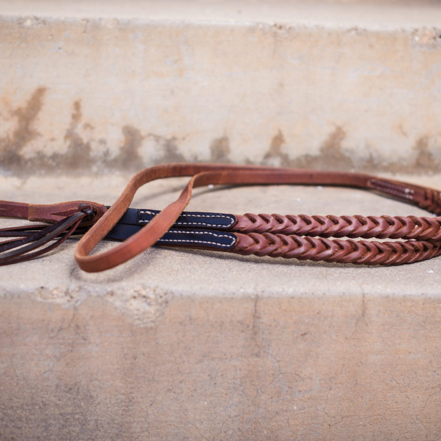 Reins - The Perfect Bit