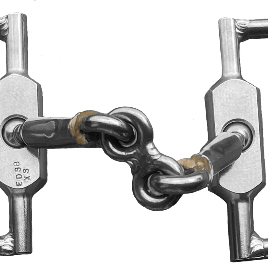 Bits - The Perfect Bit