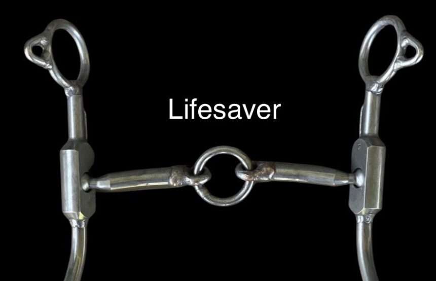 #2 Perfect Bit - The Perfect Bit