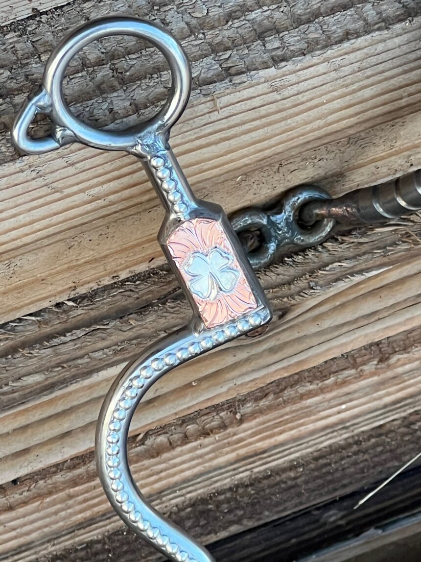 #4 Twisted Wire Dog Bone Cavalry Sterling Silver Perfect Bit with 4 ...