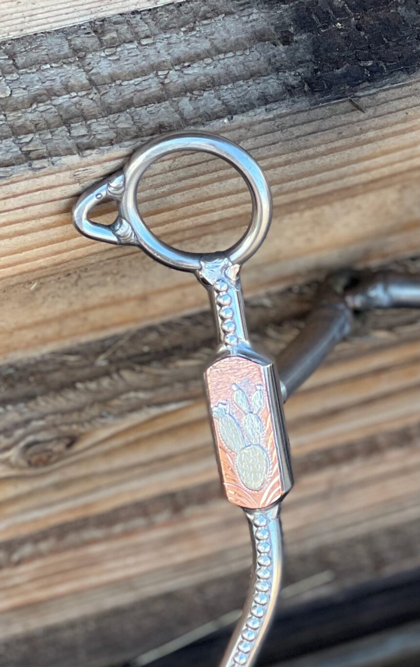 #2 Smooth Sterling Silver Perfect Bit with Cactus - The Perfect Bit