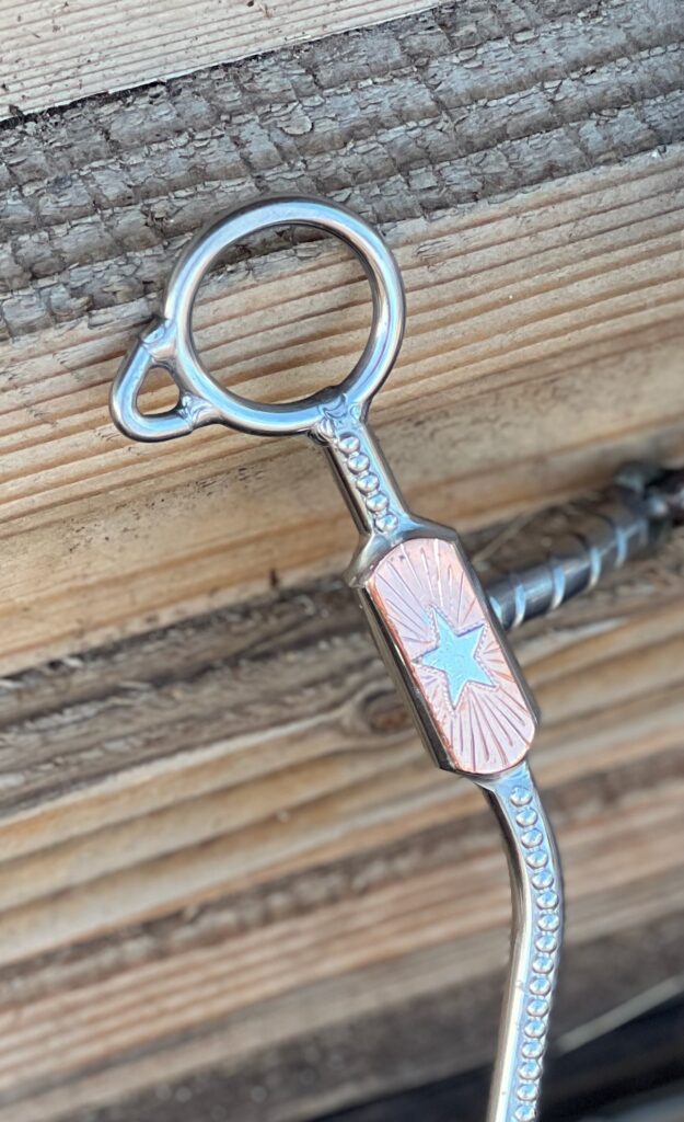 #3 Twisted Wire Sterling Silver Perfect Bit with Star - The Perfect Bit